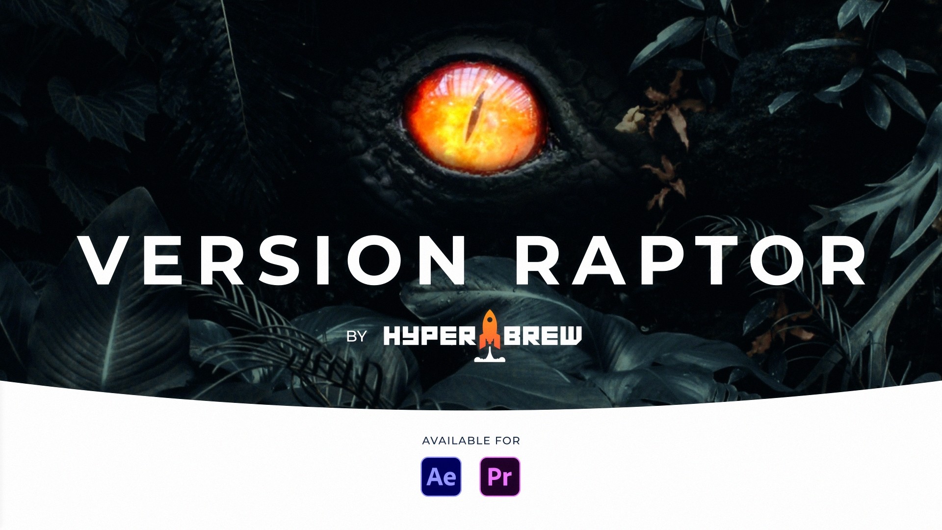 Version Raptor Aescripts